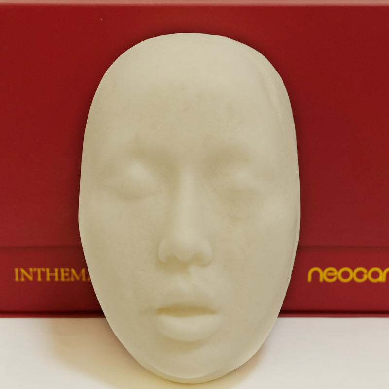MoliFX | Hard Foam Head Form for Molly2 and Molly S Mask – MoliFX by Moli's